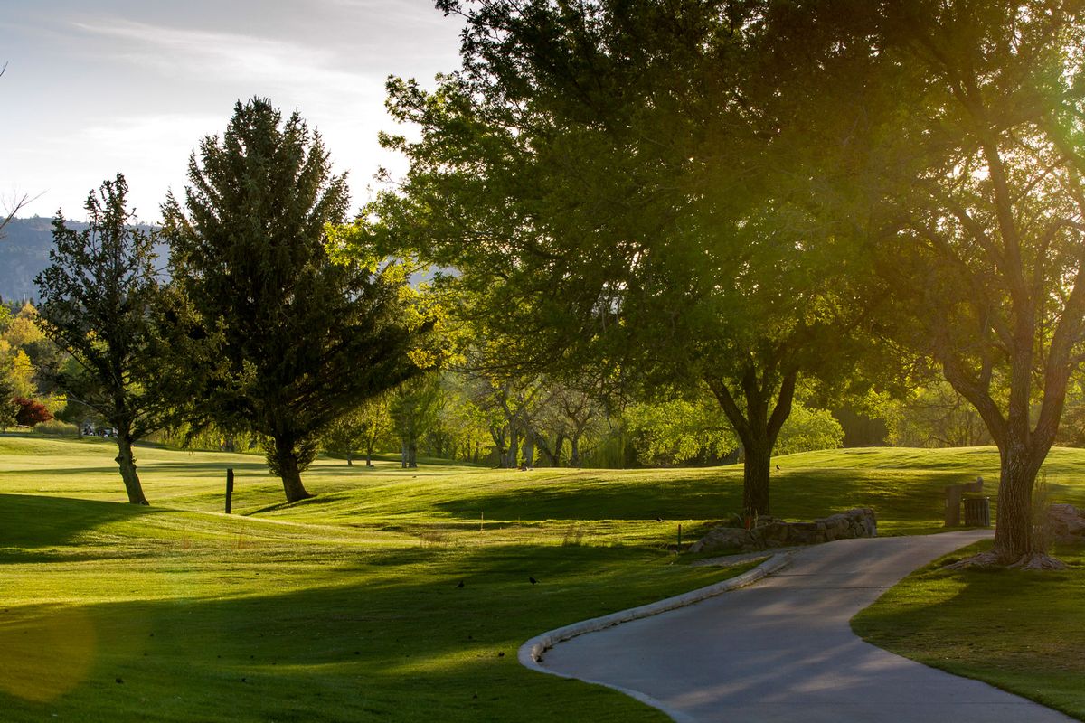 Course Photos - LakeRidge Golf Course